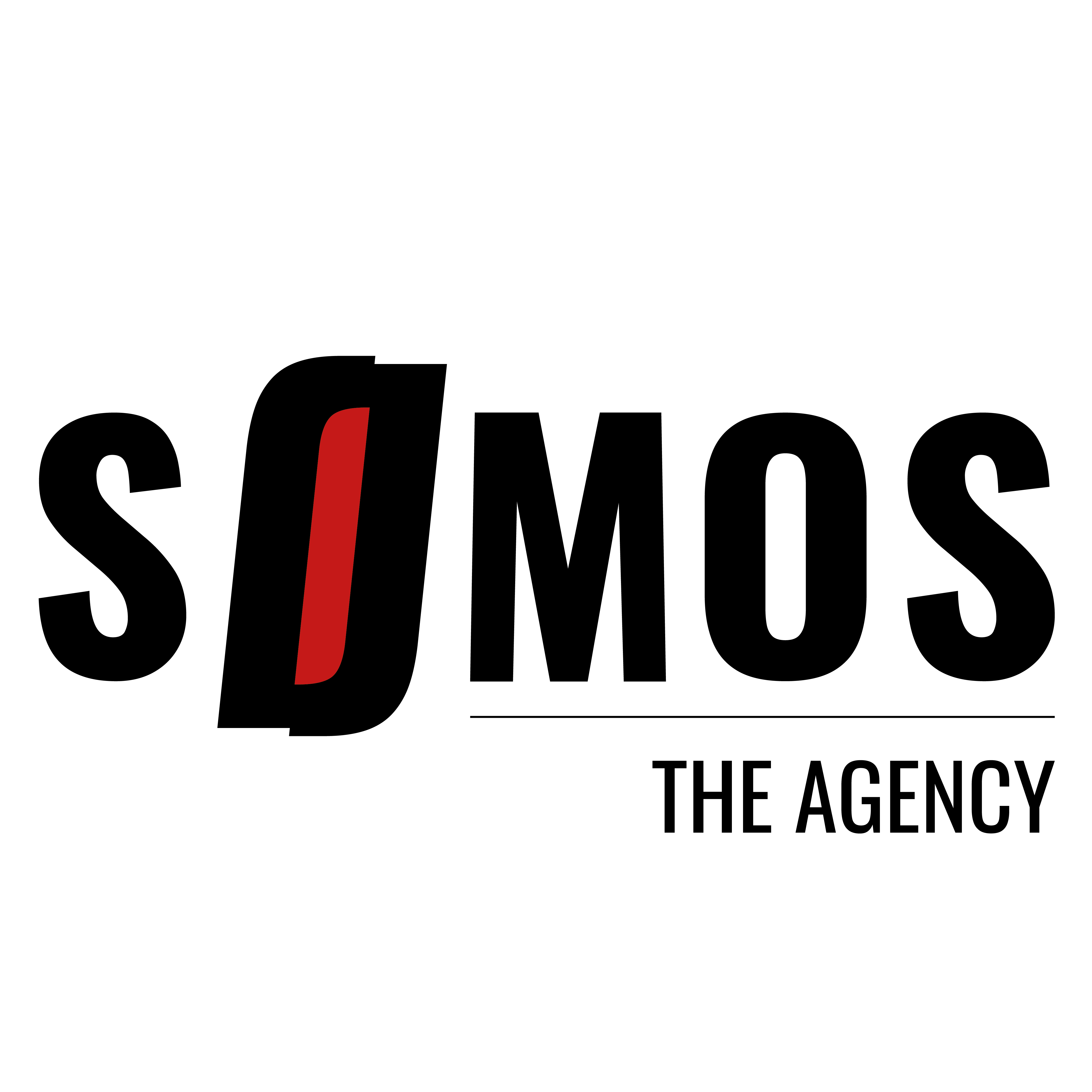 SOMOS: THE AGENCY - Wix Marketplace