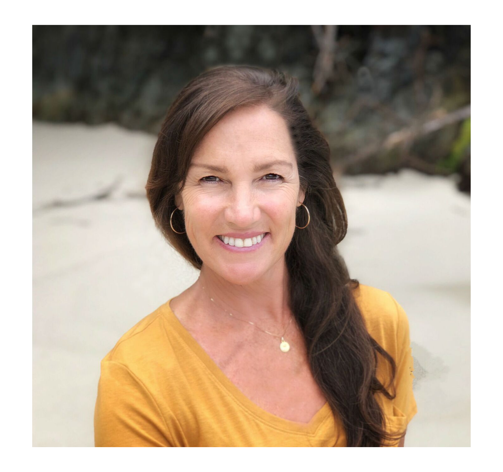 Terri Schmidt Web Design Wix Marketplace